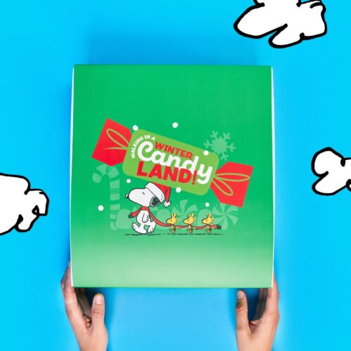 Snoopy’s Candy Land Gift Box | Hampers With Bite